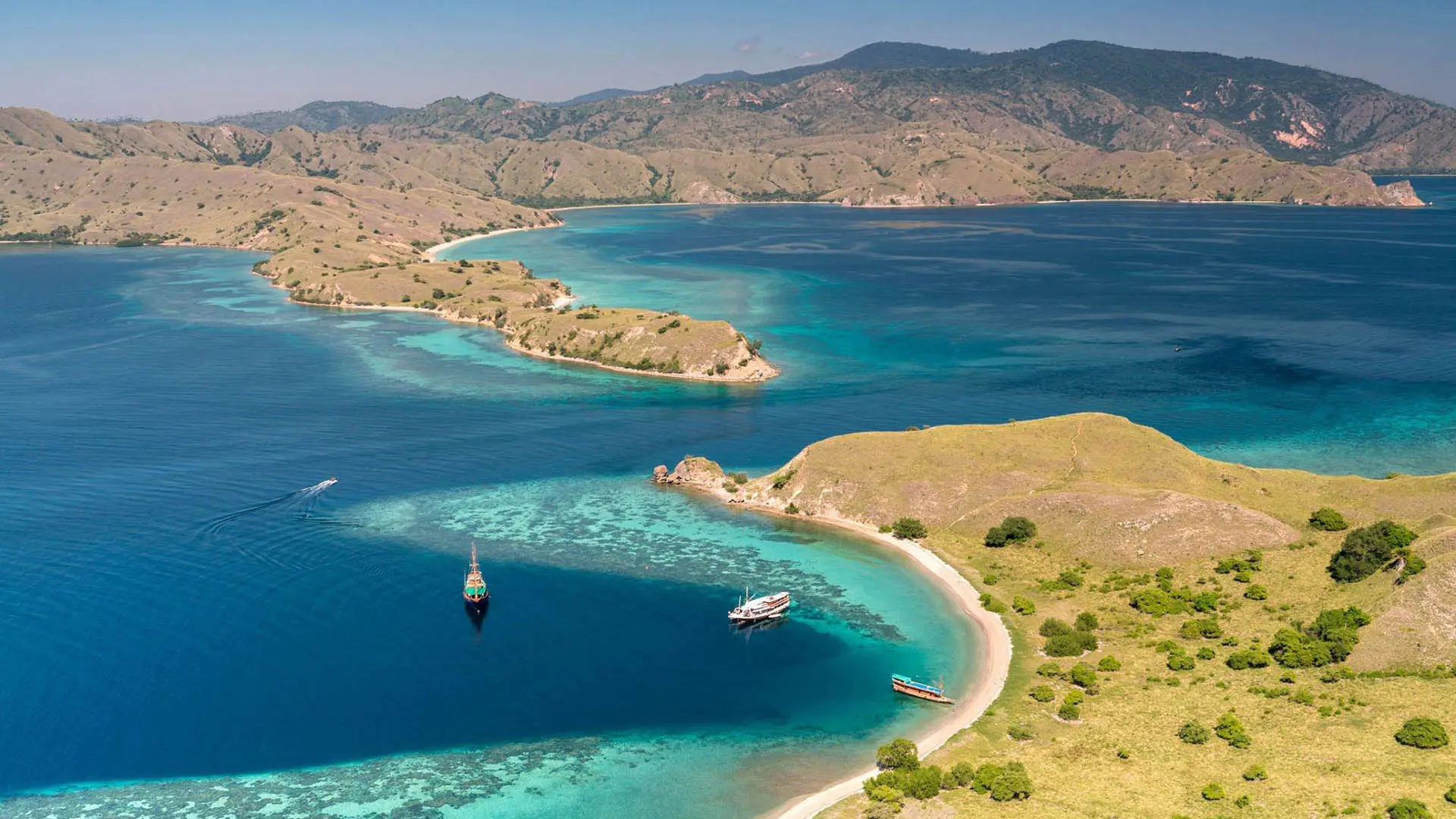 Komodo Tour 4 Days 3 Nights | Komodo Extraordinary