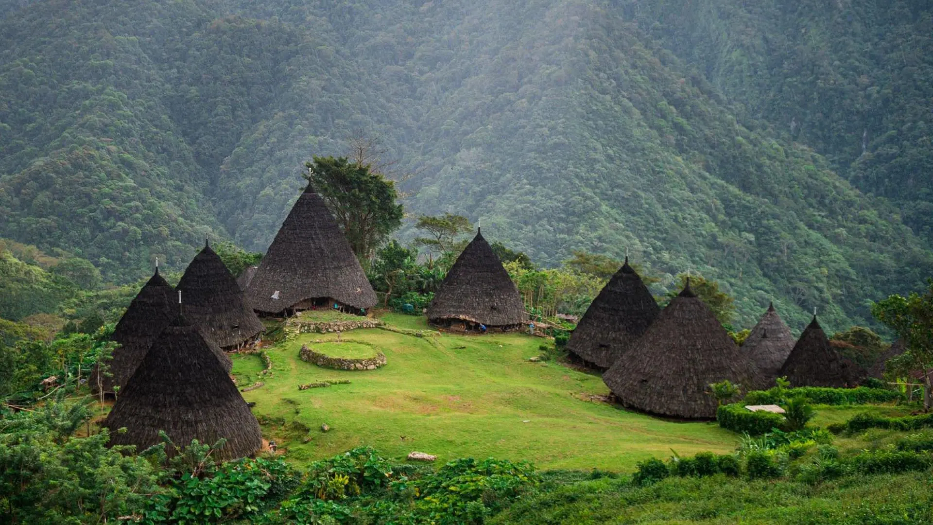Wae Rebo Tour 2 Days 1 Night | Komodo Extraordinary